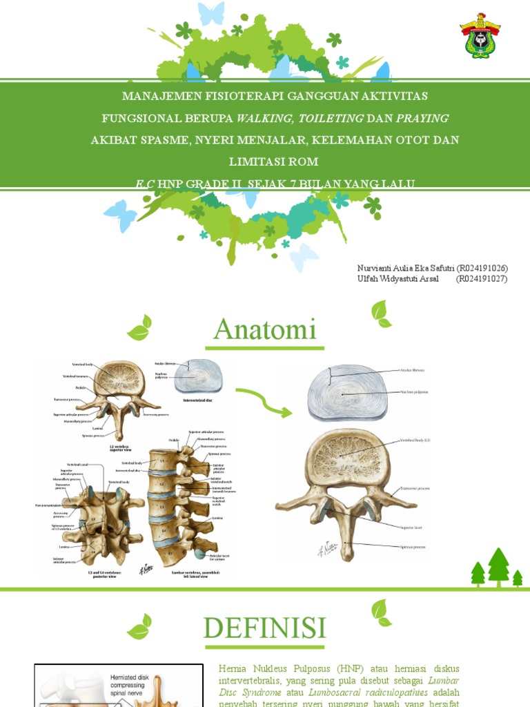 Manajemen Fisioterapi HNP dan Aktivitas | PDF