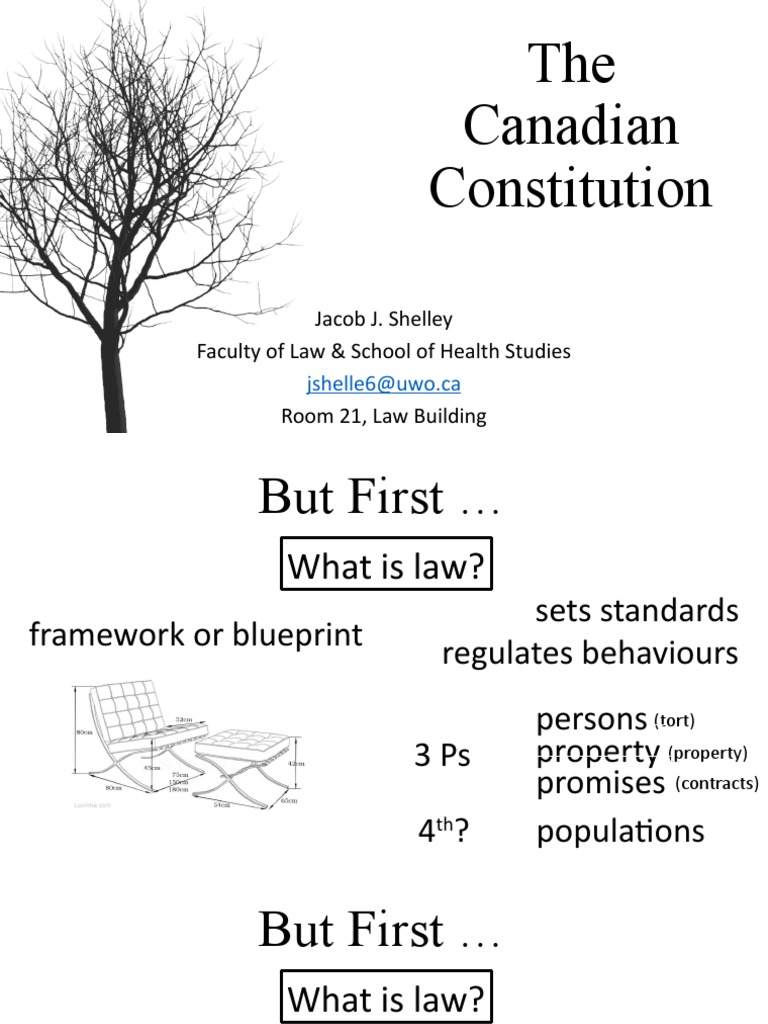Lecture 3 The Canadian Constitution | PDF | Rule Of Law | Constitution