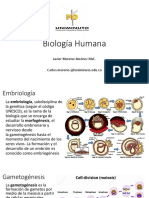 Origen Embrionario de Los Tejidos | PDF | Embrión | Biología del desarrollo