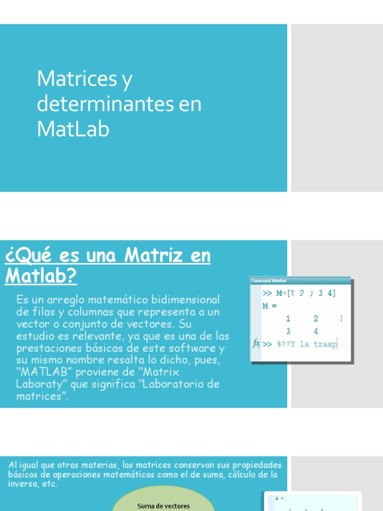 Matrices y Determinantes en MATLAB | PDF | Determinante | Matriz ...