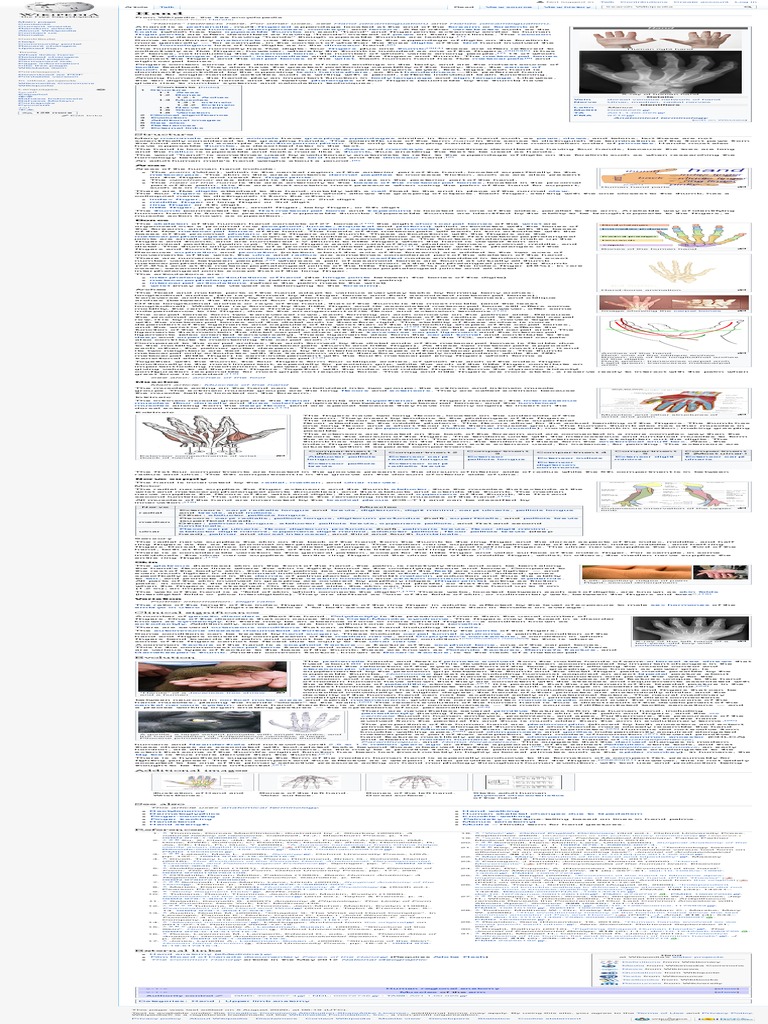 Hand | PDF | Thumb | Hand