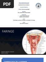 Anatomía y Fisiología de La Rinofaringe, Orofaringe e Hipofaringe | PDF ...
