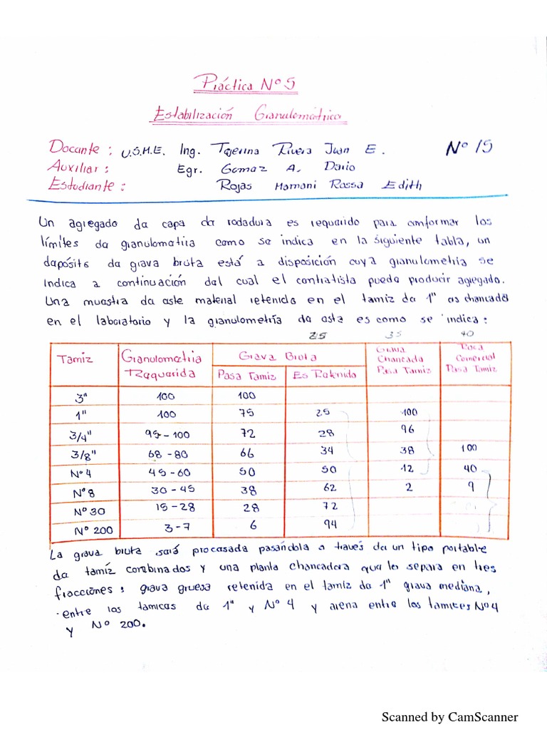 A Collection of Blank Pages Scanned by CamScanner: An Exploration of ...