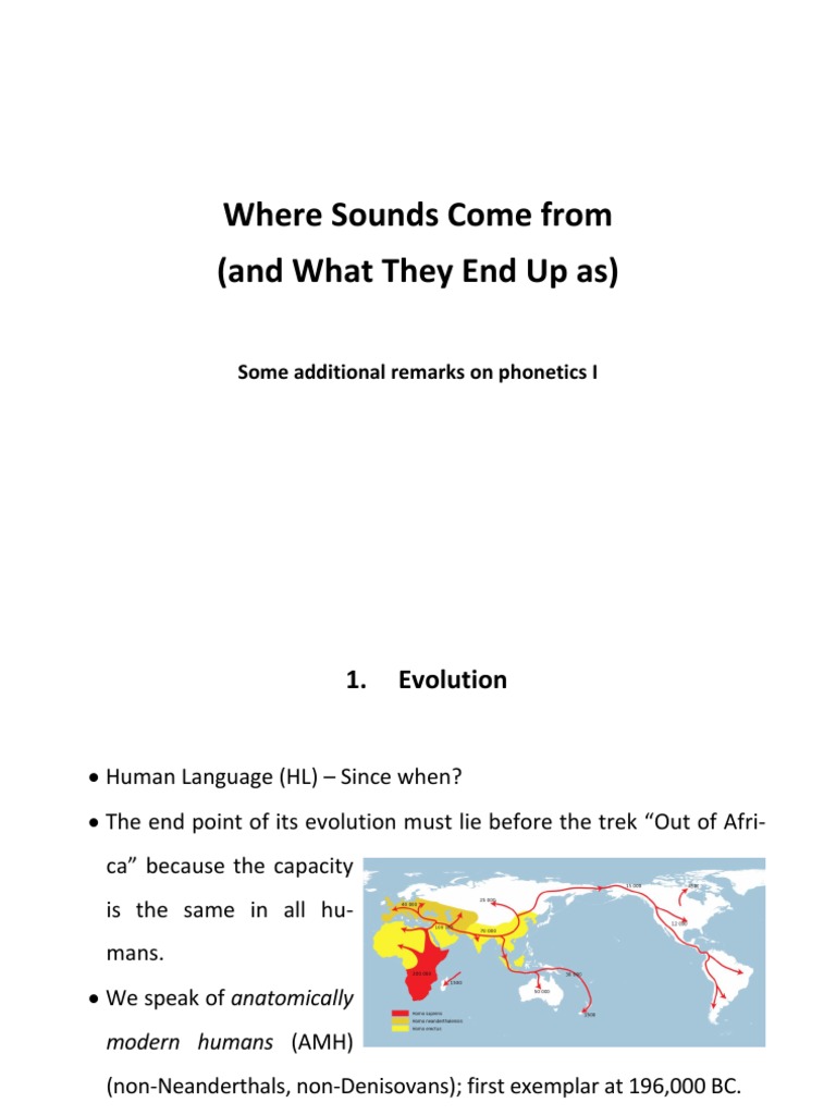 The Evolution of Human Sounds | PDF