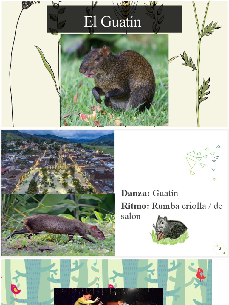 El Guatín | PDF