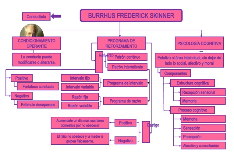 Mapa Conceptual - Skinner | PDF
