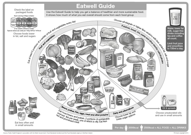 Eatwell Guide Greyscale PDF | PDF | Foods | Food And Drink