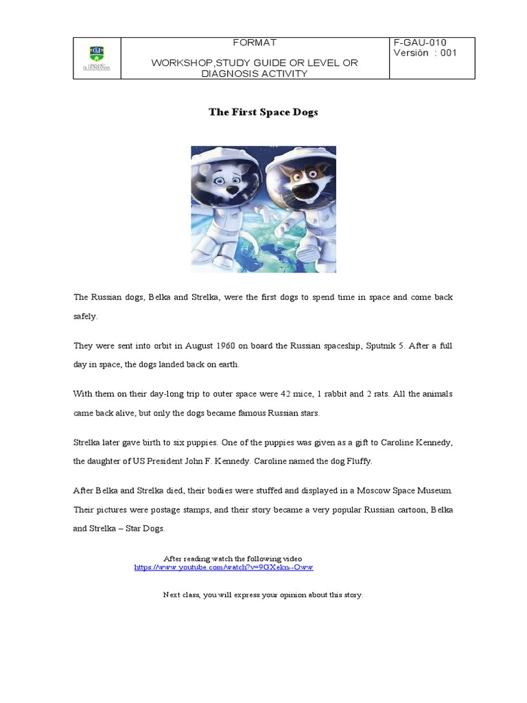 The First Space Dogs: Format Workshop, Study Guide or Level or ...