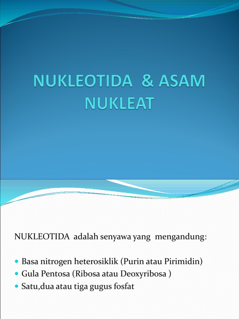 Nukleotida & Asam Nukleat 1 | PDF
