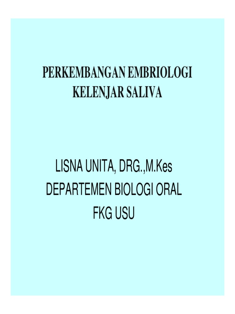 Bo 243 Slide Perkembangan Embriologi Kelenjar Saliva PDF | PDF