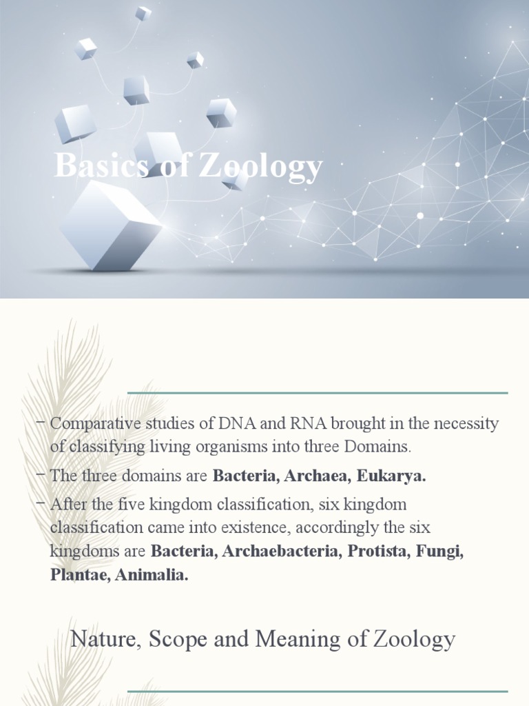 Basic Concepts of Zoology | PDF | Taxonomy (Biology) | Taxa