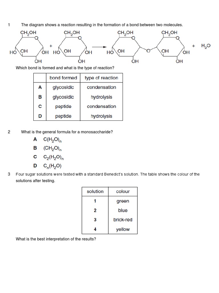 20 MCQs Biological Molecules | PDF | Proteins | Amino Acid