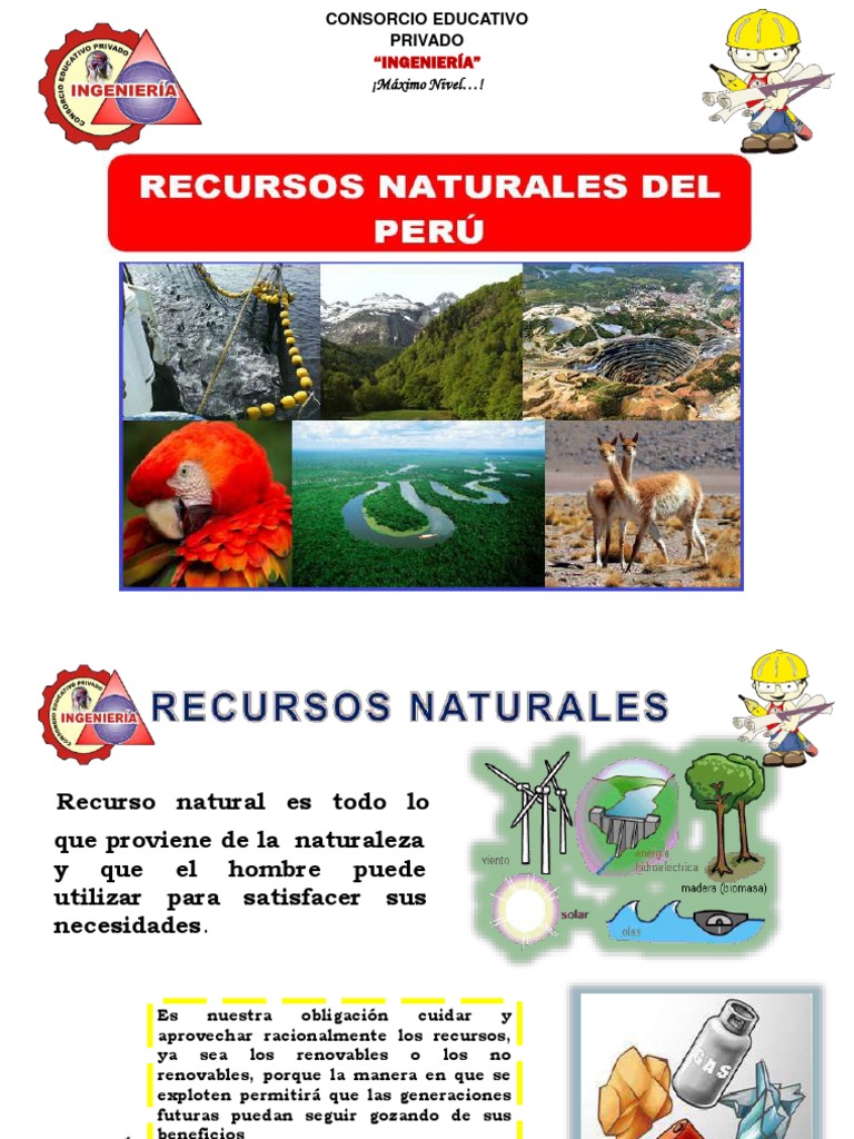 Recursos Naturales del Perú: Clasificación y Ejemplos | PDF | Andes ...
