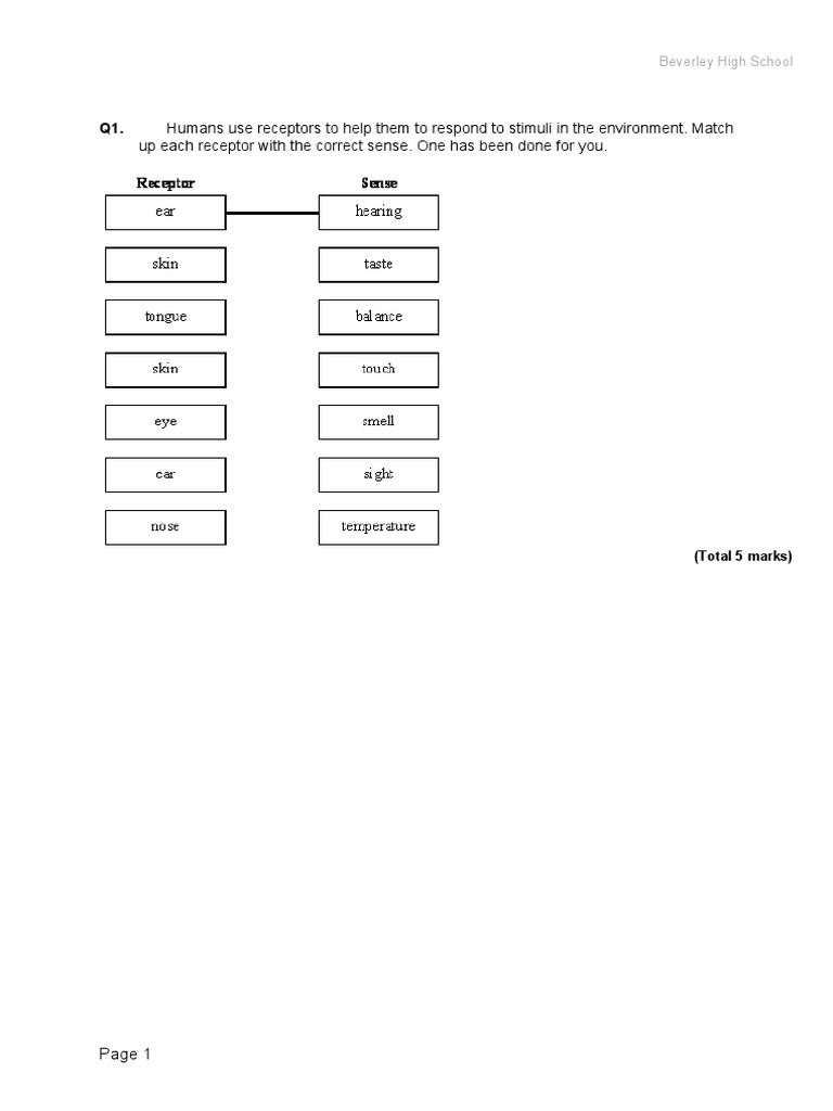 Nervous System Exam-Style Questions (+ Mark Scheme) | PDF | Stimulus ...