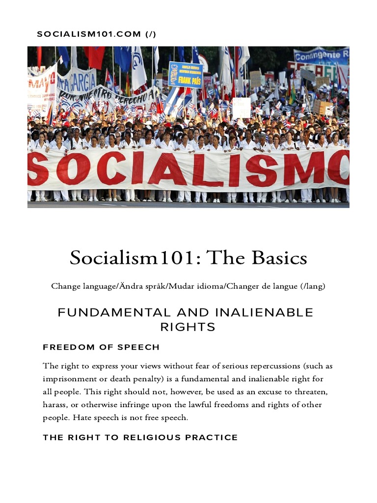 The Basics | PDF | Communism | Socialism