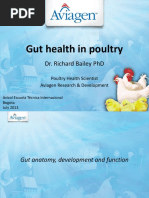 Medicine Chart For Chickens | PDF | Candidiasis | Medical Diagnosis