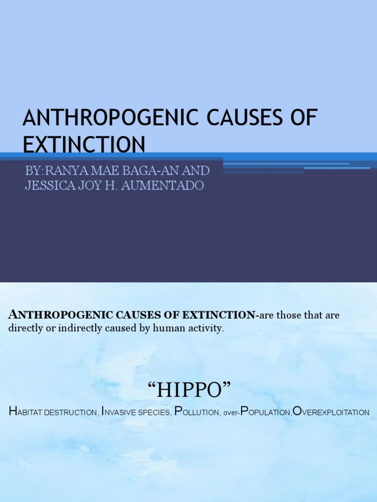 Human Impact on Species Extinction | PDF | Extinction | Habitat