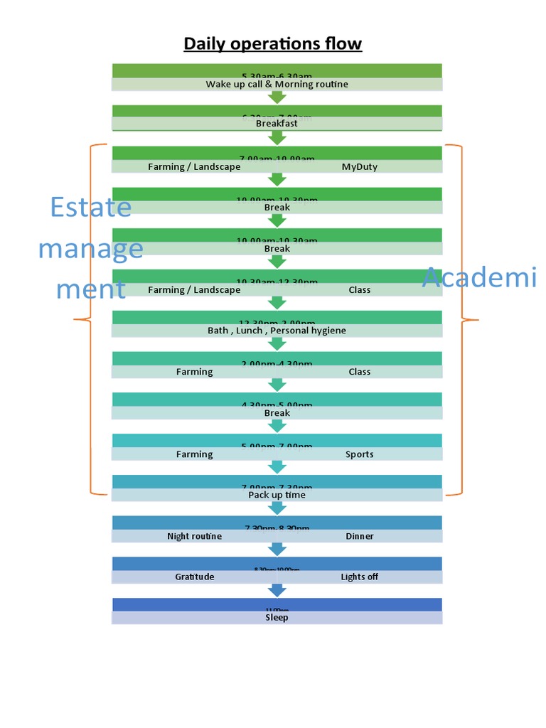 Daily Operations Flow | PDF