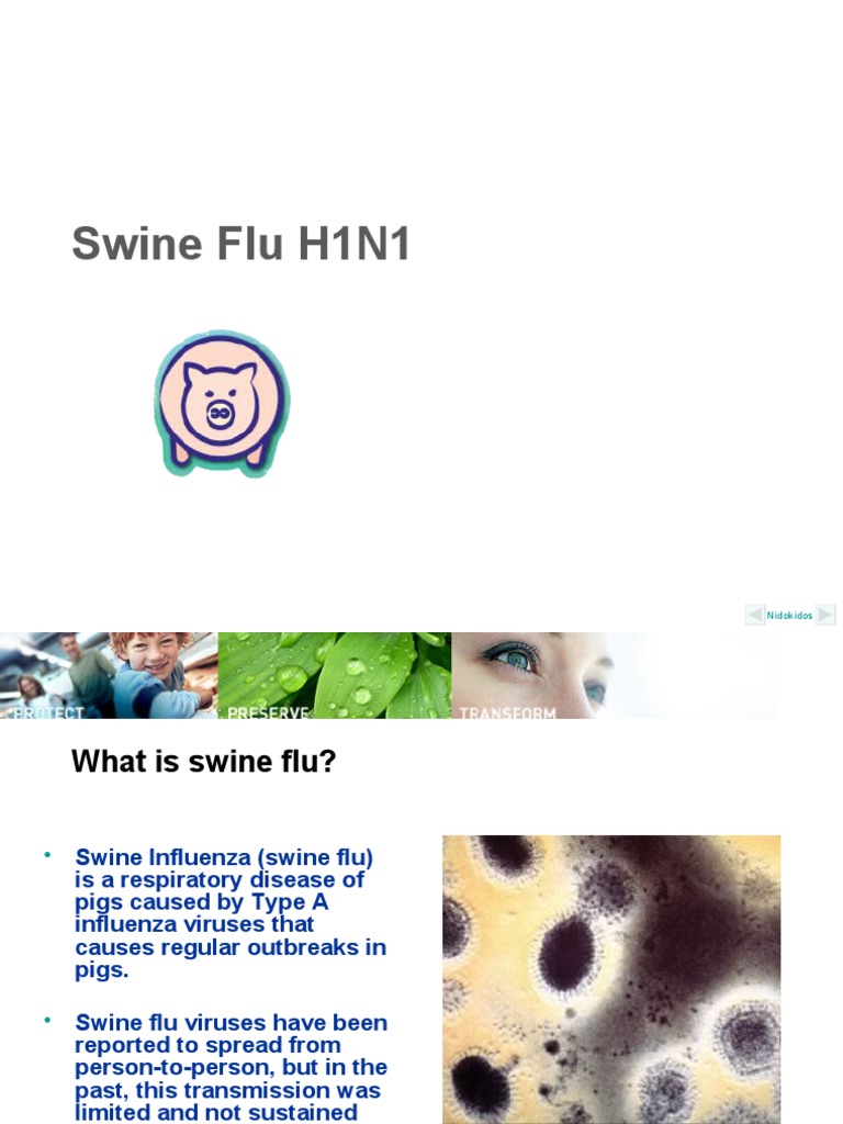 Swine Flu Info | PDF | Swine Influenza | Influenza