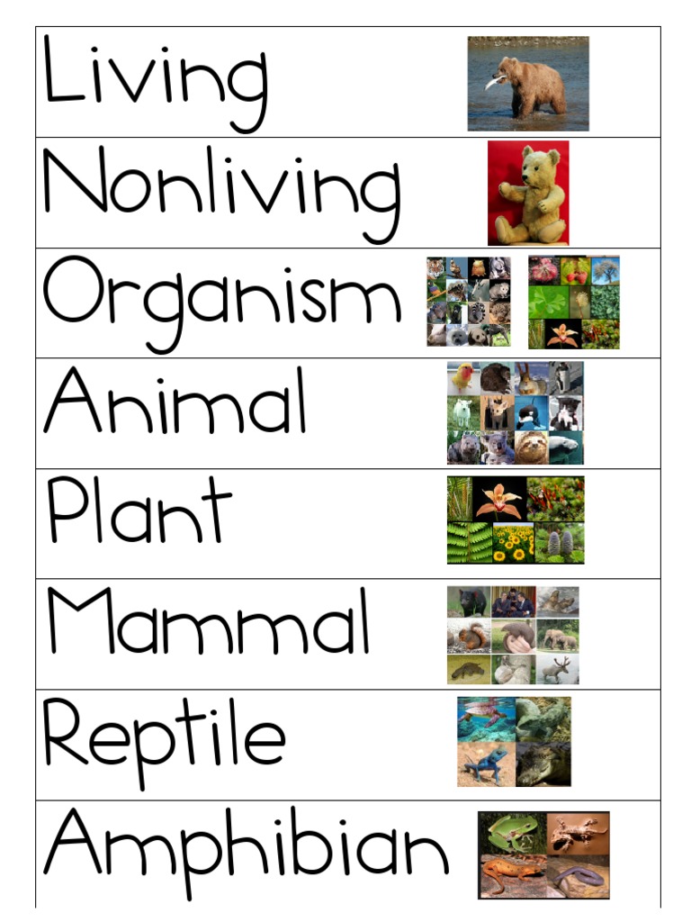 Living Nonliving Organism Animal Plant Mammal Reptile Amphibian | PDF