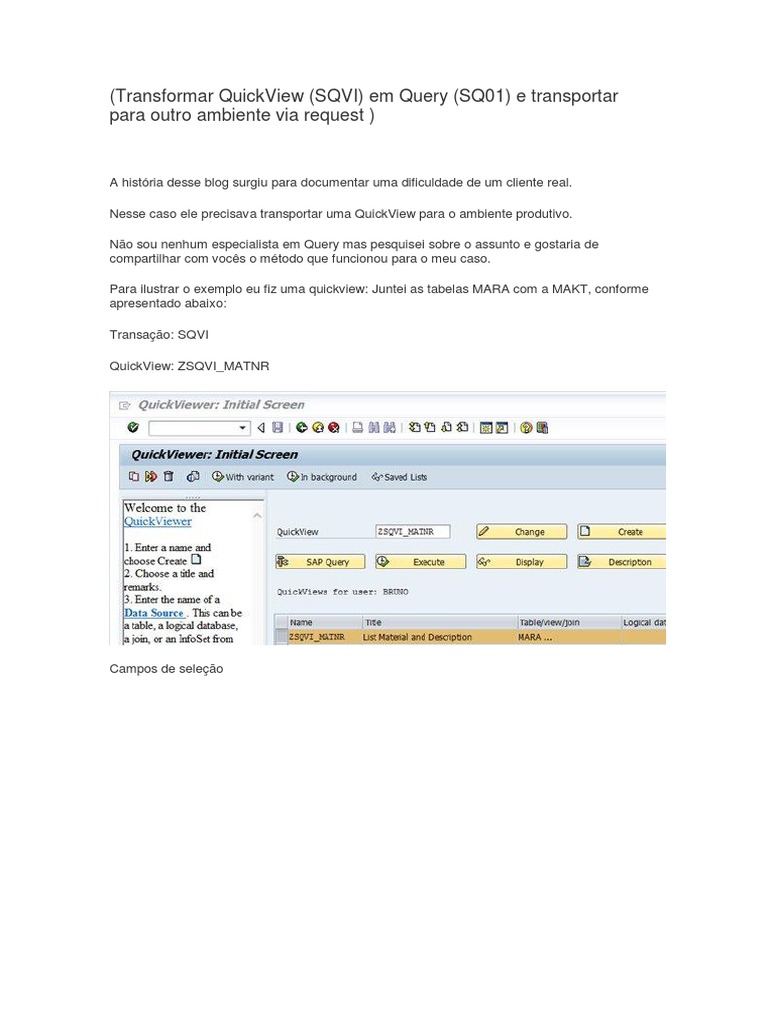 Construindo Relatório No SQVI SAP | PDF