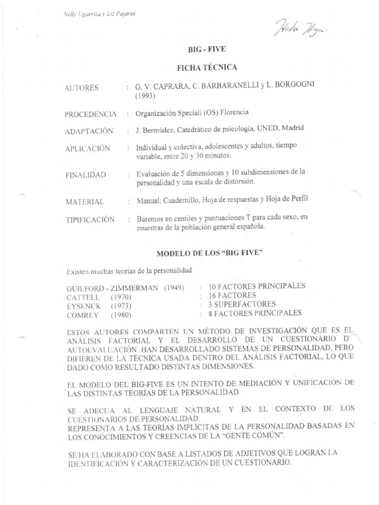 Manual Big Five PDF | PDF