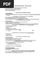 Endocrine System Case Studies Analysis | PDF | Hormone | Endocrine System