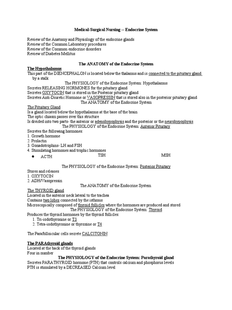 Endocrine | PDF | Hyperthyroidism | Adrenal Gland