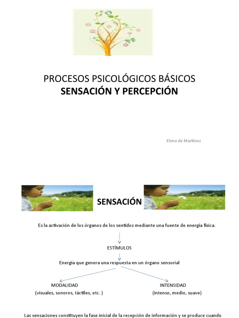 Sensopercepcion | Descargar gratis PDF | Percepción | Estímulo (fisiología)