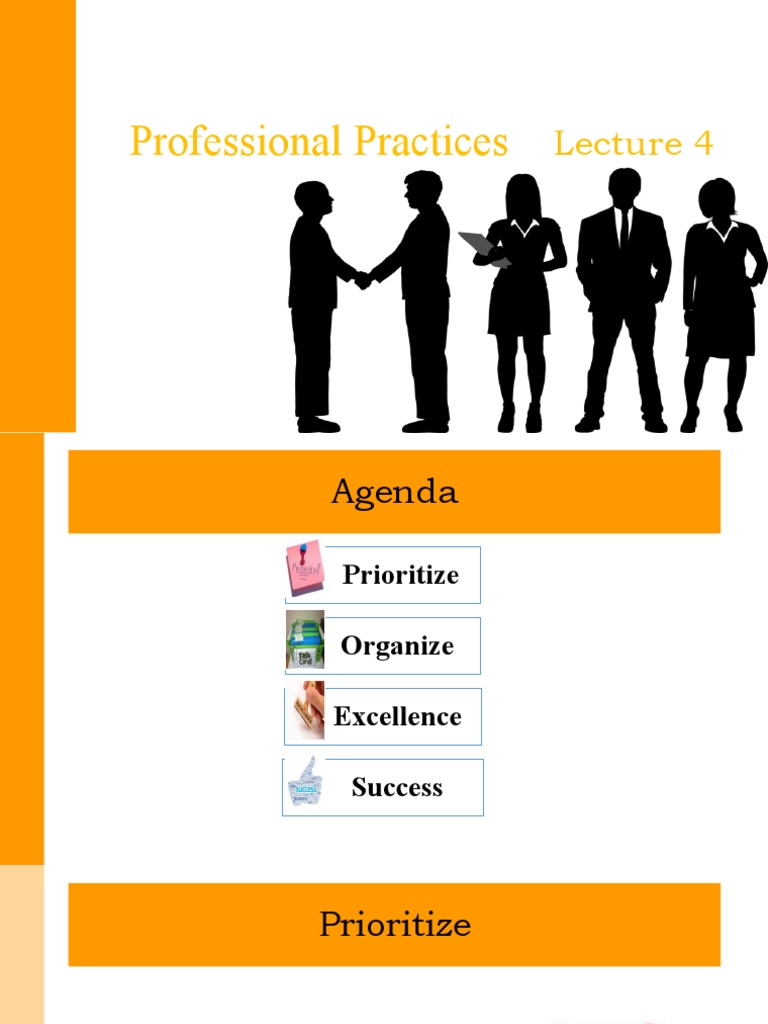 Professional Practices | PDF