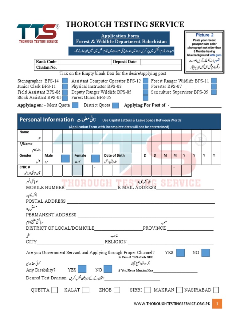 Thorough Testing Service: Personal Information | PDF | Business