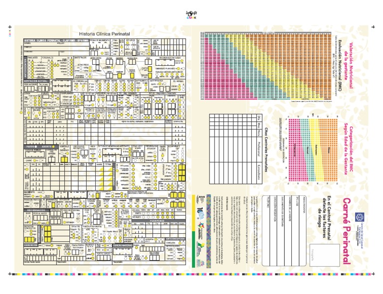 Carnet Perinatal | PDF