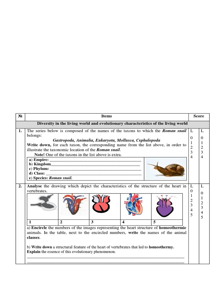 12 Biologia Test R Eng SB18 | PDF | Auditory System | Tissue (Biology)