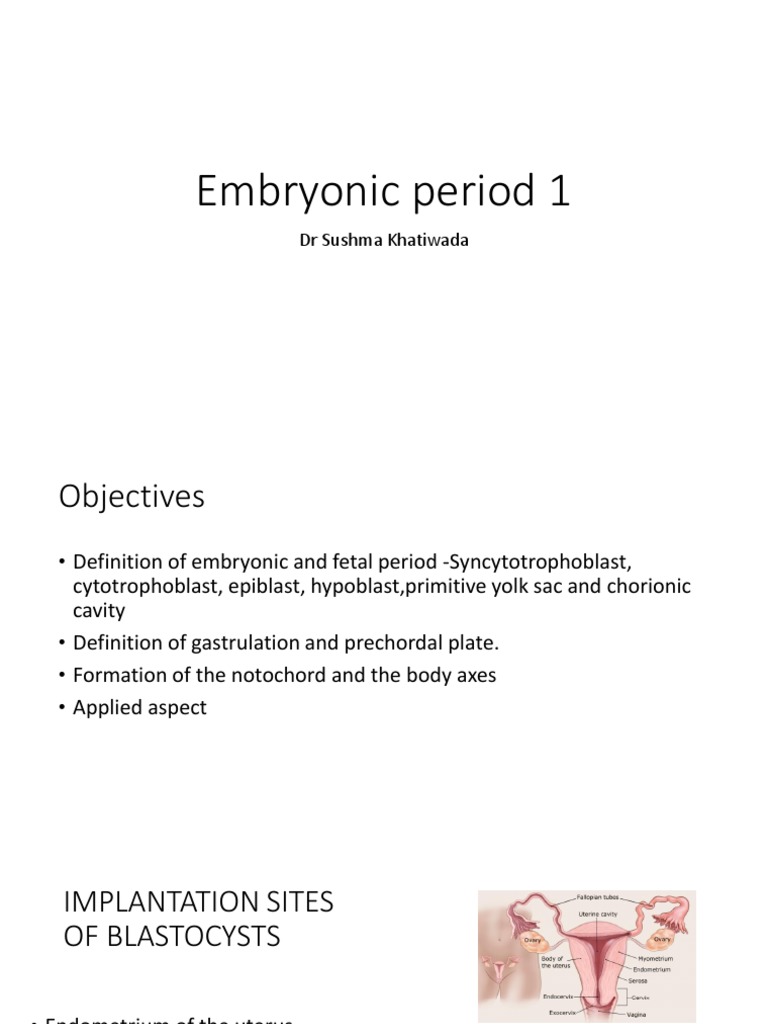 Embryonic Period For Medical Student | PDF | Implantation (Human Embryo ...