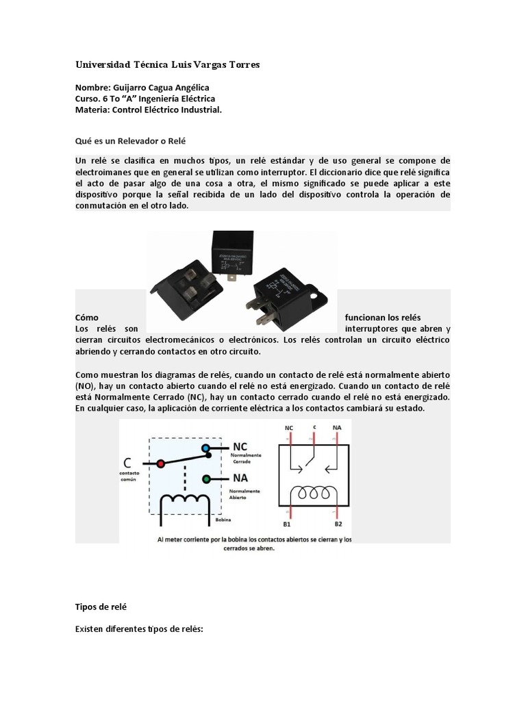 Tipos y Funcionamiento de Relés | PDF | Relé | Electrónica