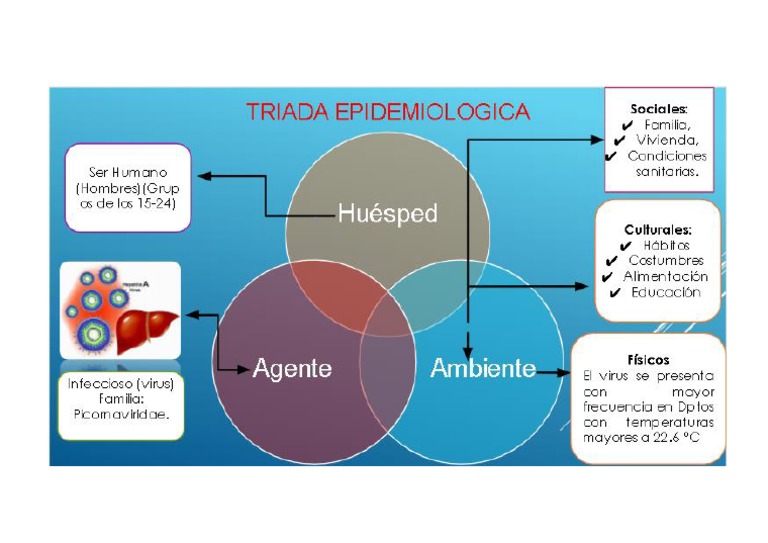Triada Epidemiologica - Hepatitis A | PDF