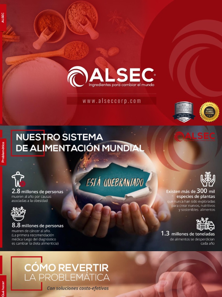 Presentación Alsec 2020 | PDF