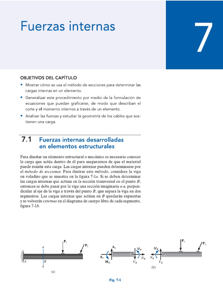 Fuerzas Internas | PDF
