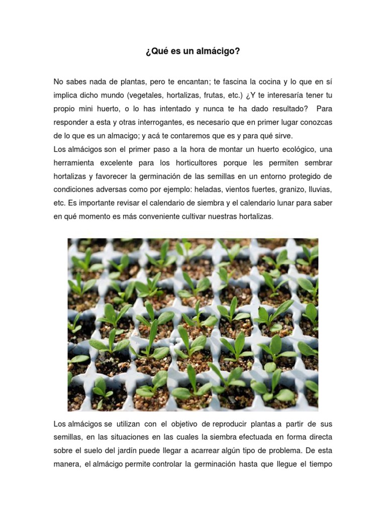 Qué Es Un Almácigo (Original) | PDF
