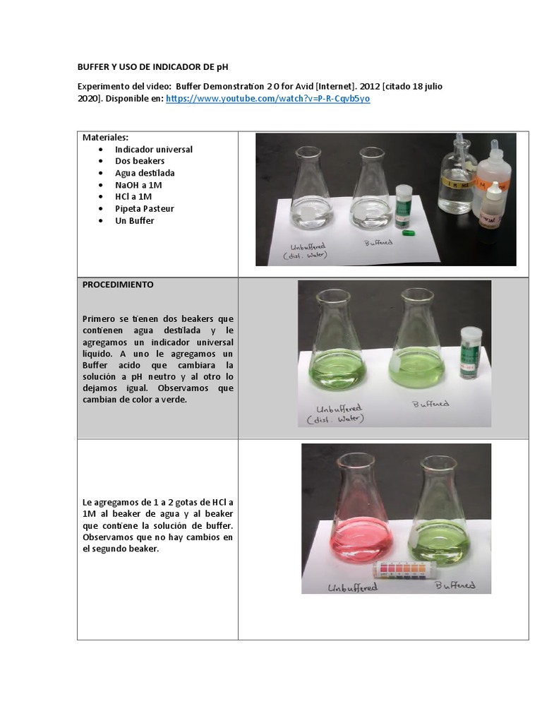 Bioquimica Informe 3 | PDF | Solución tampón | Ph