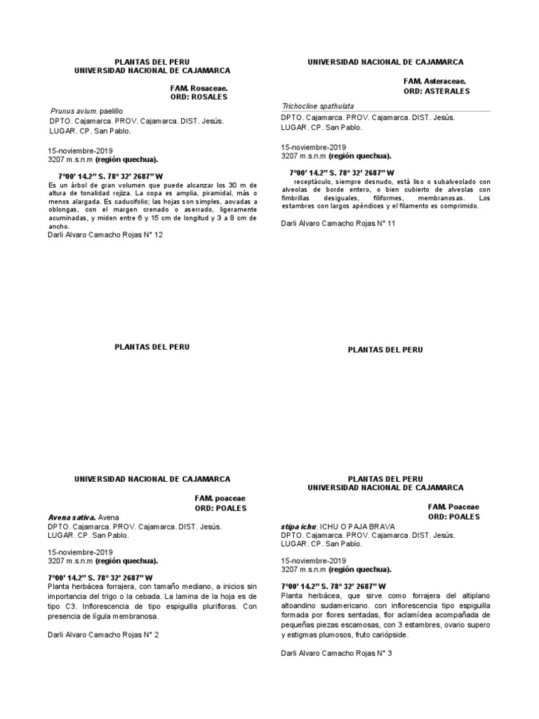 Herbario Plantas Del Peru | Descargar gratis PDF | Romero | Morfología Vegetal