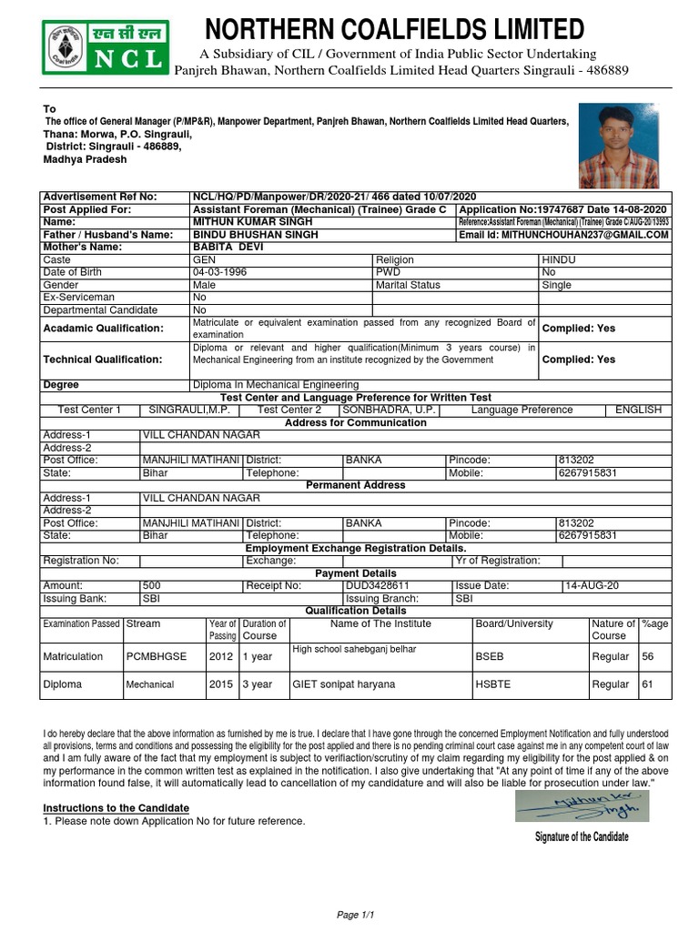 Application PDF | PDF | Government Information | Social Institutions