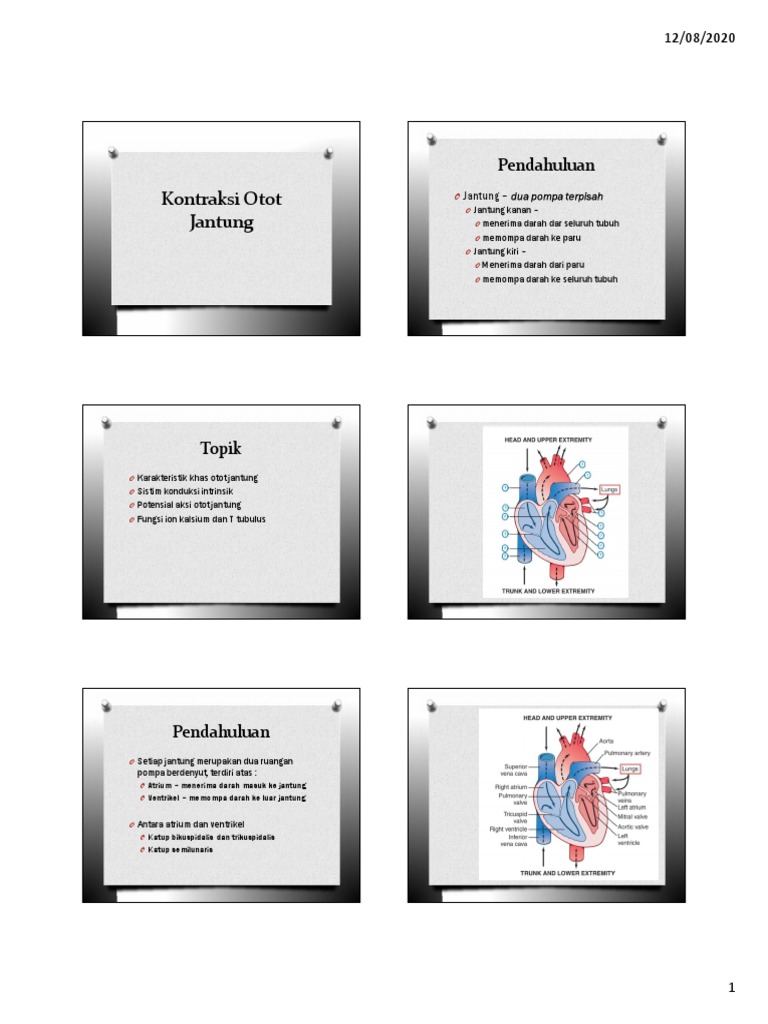 Kontraksi Otot Jantung-6 PDF | PDF