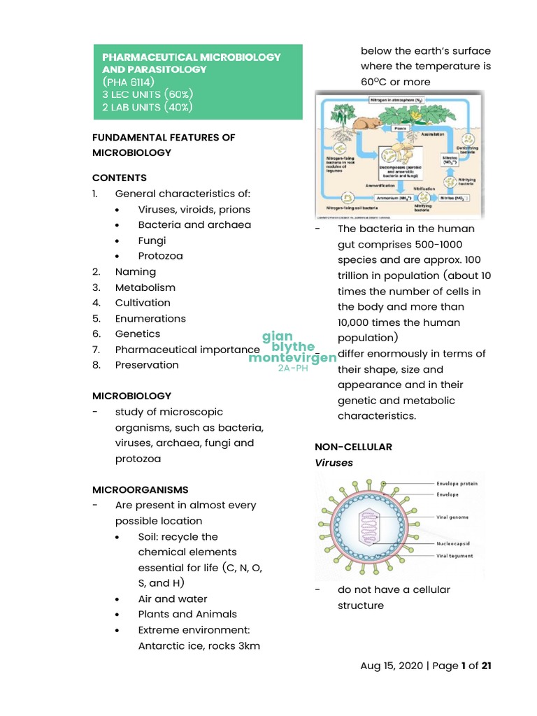 Fundamental Microbiology Features | PDF | Growth Medium | Cellular ...