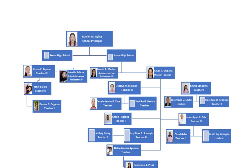 Organizational Chart | PDF
