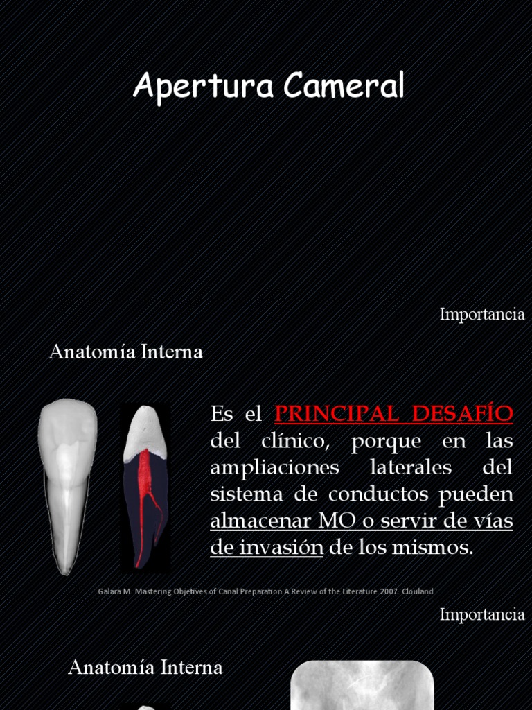 Apertura Cameral | PDF | Especialidades Medicas | Science