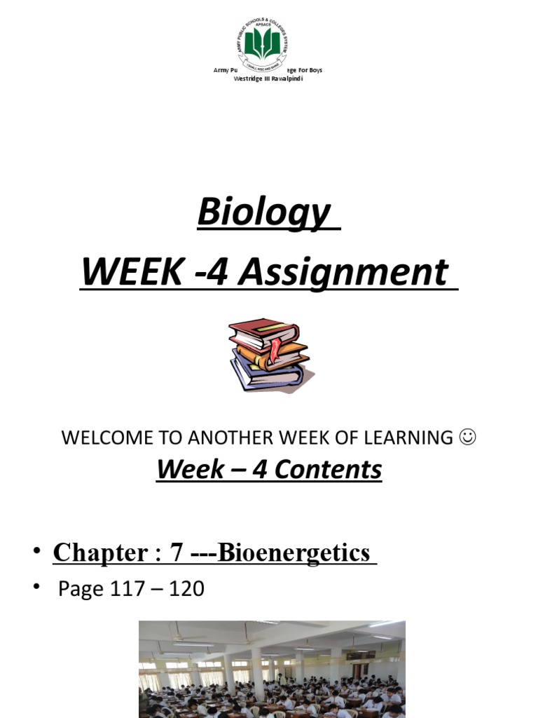 Biology WEEK - 4-Grade 9th | PDF | Bioenergetics | Redox