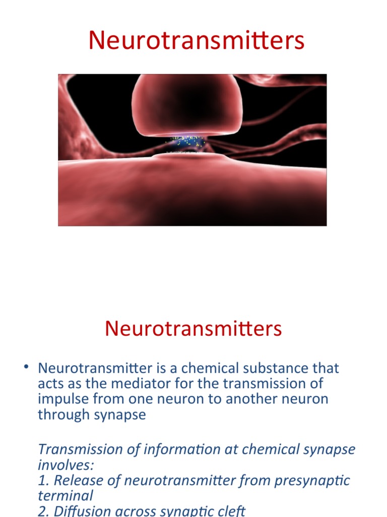 The Neurotransmitter Compendium: An In-Depth Exploration of Major Neurotransmitters, Their ...