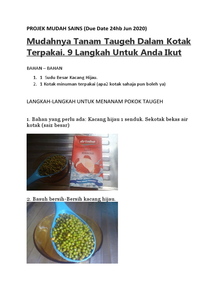 Projek Mudah Sains Pdf