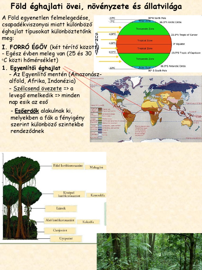 Zonele Climatice (Magyar) | PDF